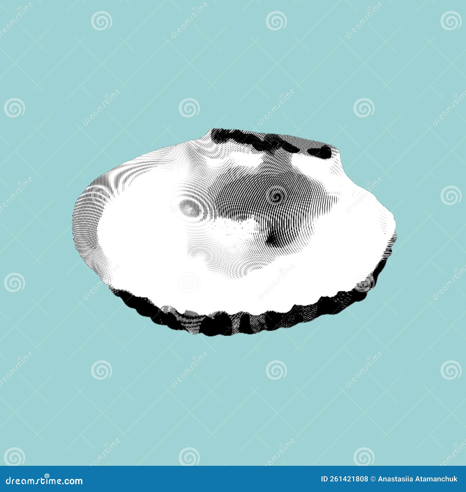 Graphic Engraving of a Seashell.Realistic Shells Illustration. Stock ...