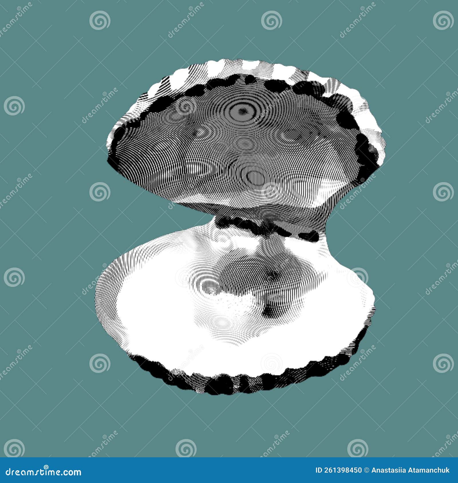 Graphic Engraving of a Seashell.Realistic Shells Illustration. Stock ...