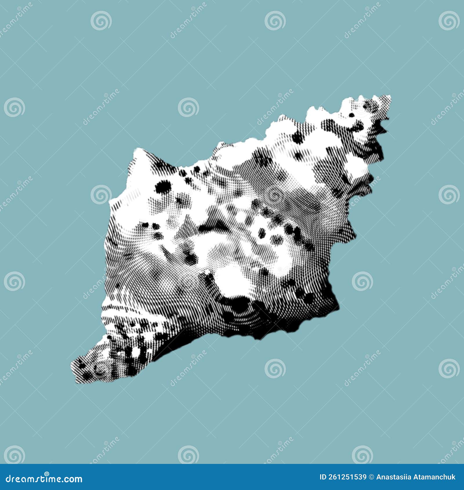 Graphic Engraving of a Seashell.Realistic Shells Illustration. Stock ...