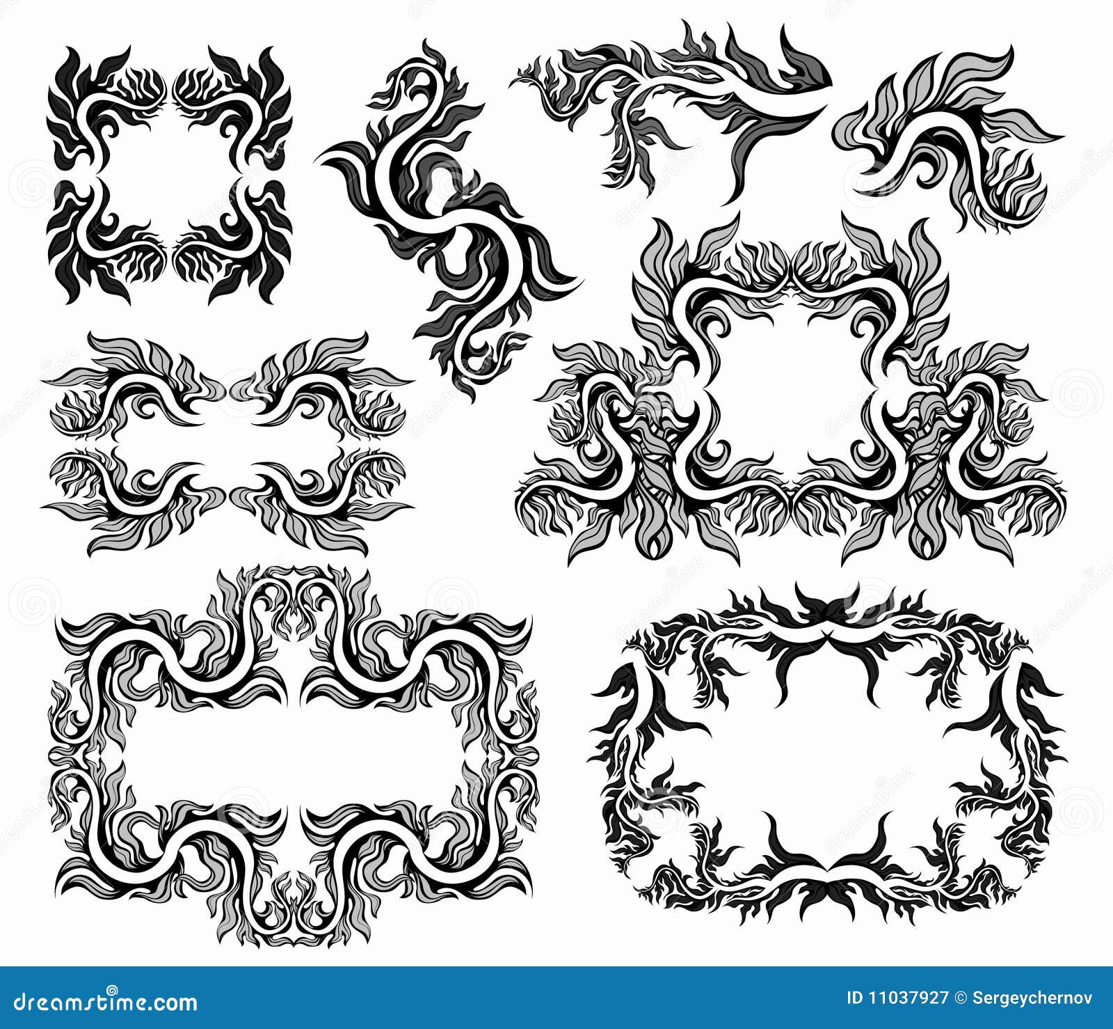 Graphic Floral Illustration - Black & White Inked Flowers Frame ...