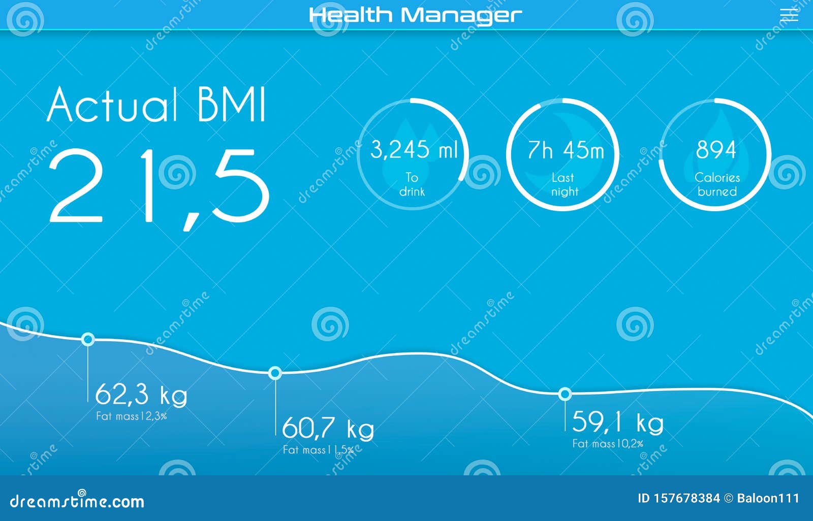 Graphic of Health Manager Application for Computer Stock Illustration ...