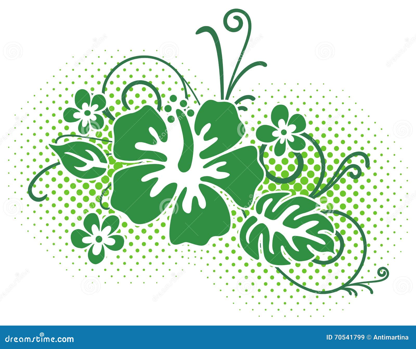 Graphic hibiscus flowers stock vector. Illustration of hibiscus - 70541799