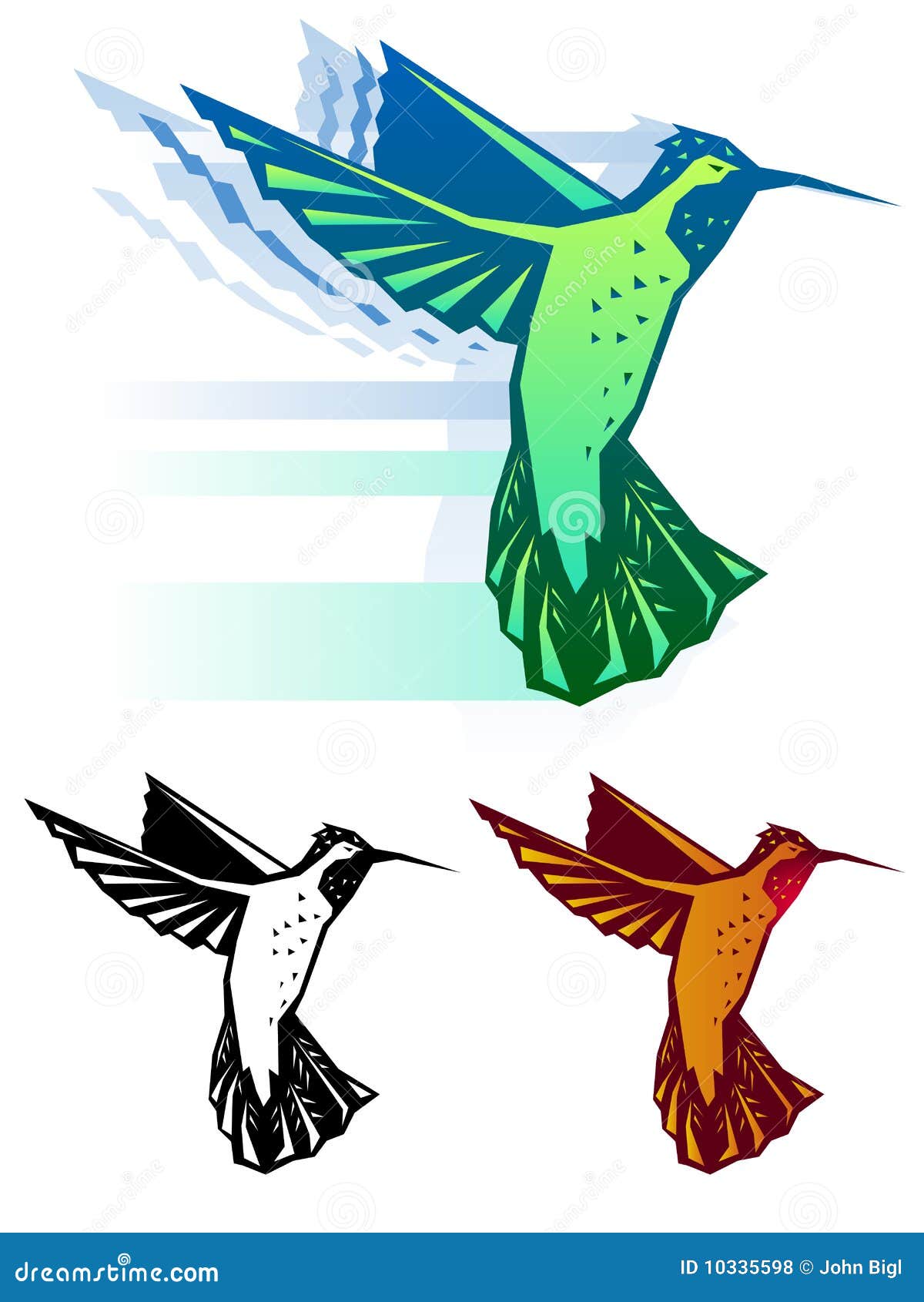 Graphic hummingbird stock vector. Illustration of feather - 10335598