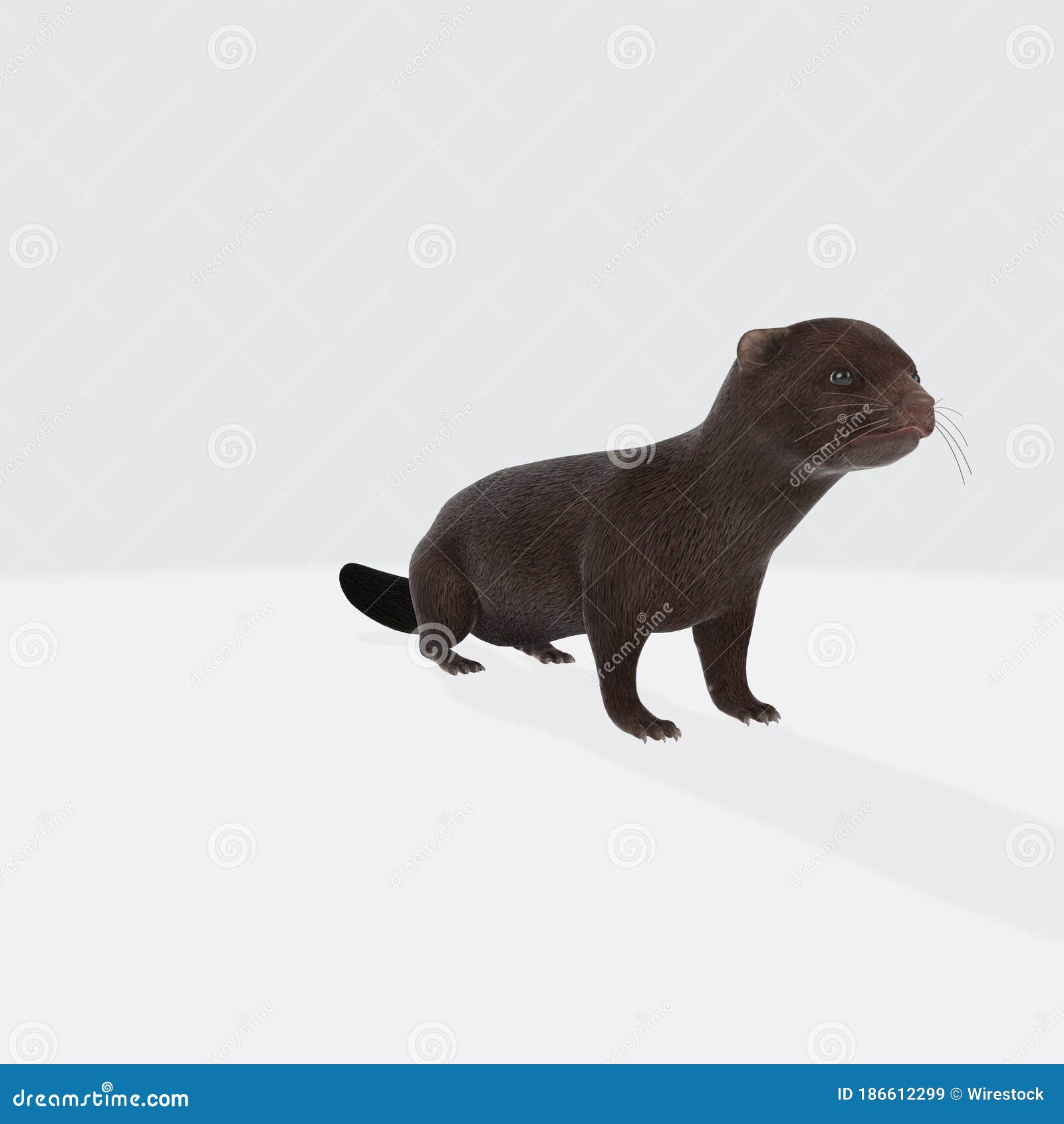 Graphic Illustration of 3D Rendered Otter Isolated on the White ...