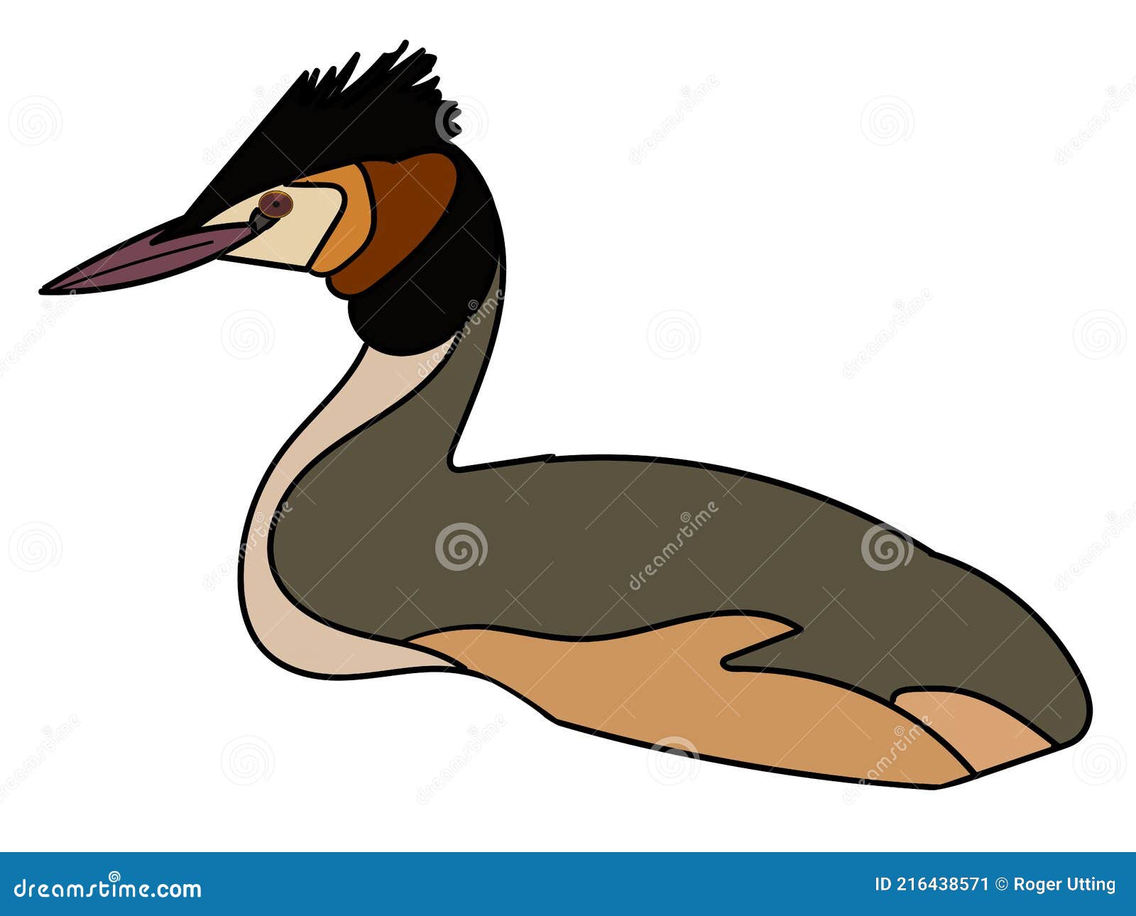 Great crested Grebe stock illustration. Illustration of graphic - 216438571