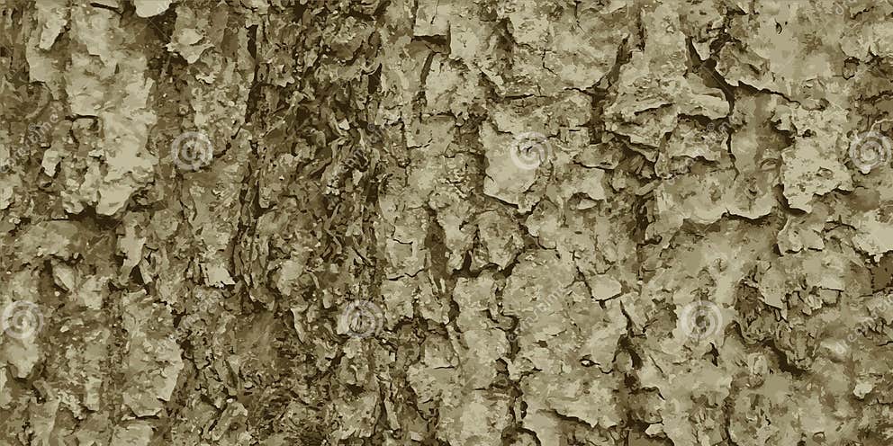 Graphic Illustration of Tree Bark. Tree Bark Stock Image - Image of ...