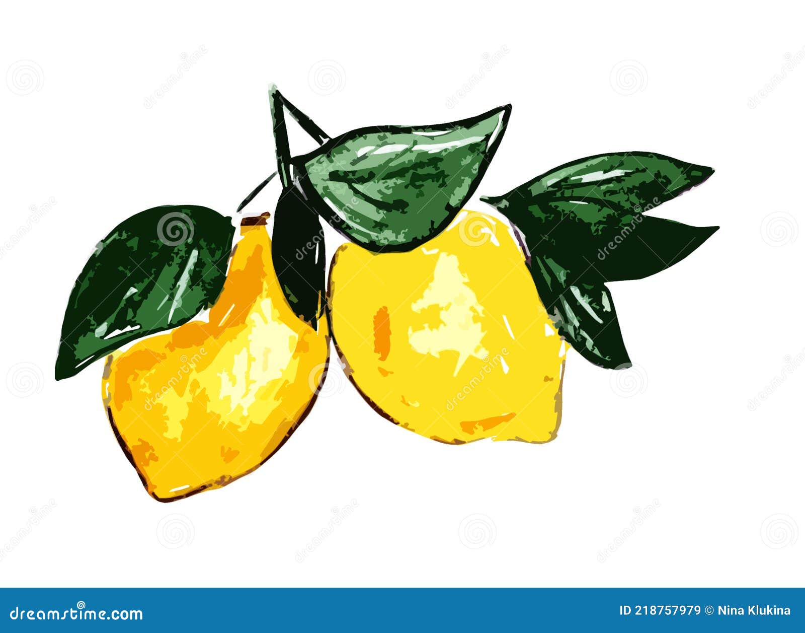 Two Lemons on a Branch with Leaves on a White Background Stock ...
