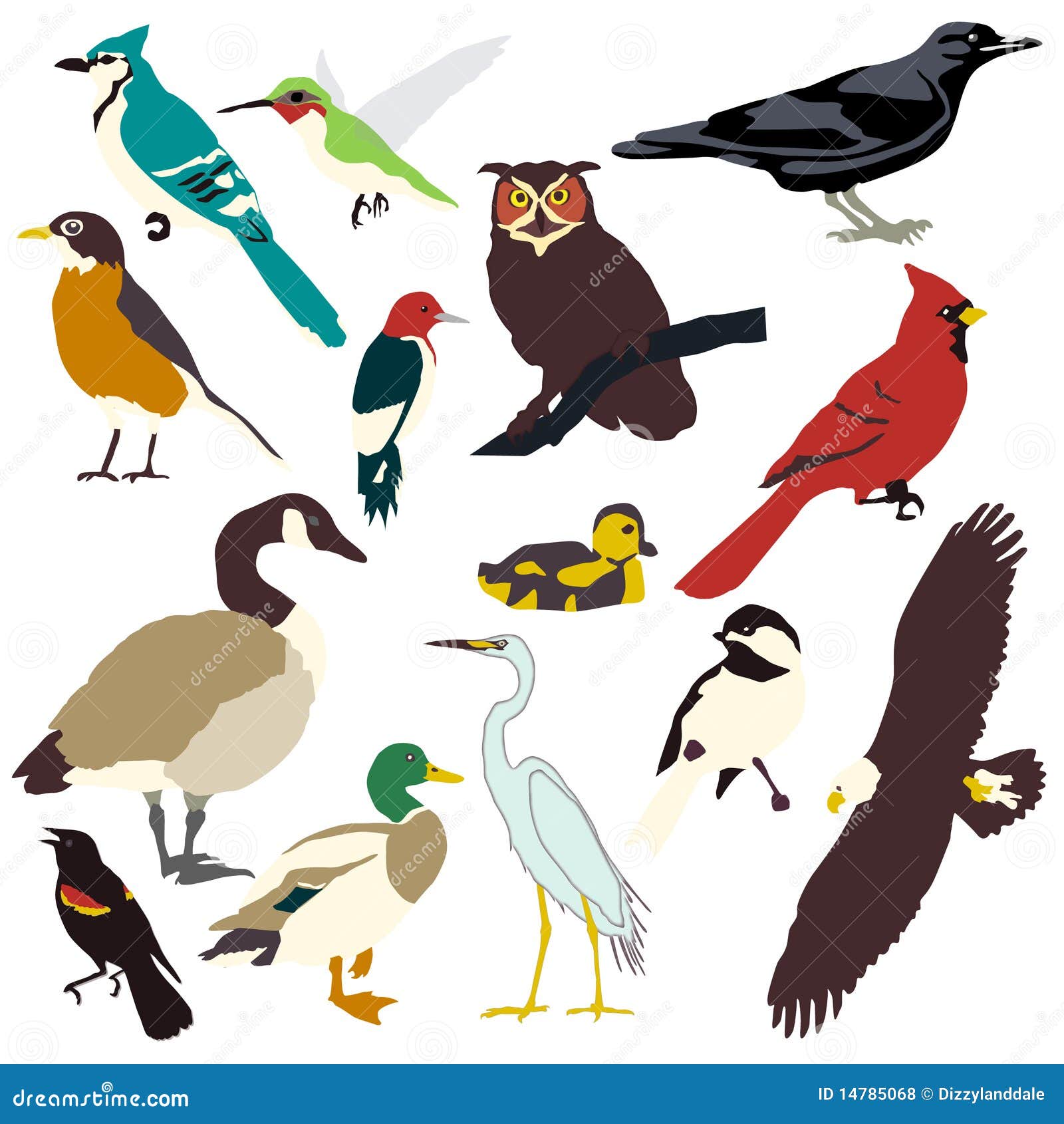 Graphic images of birds stock vector. Illustration of blackbird - 14785068