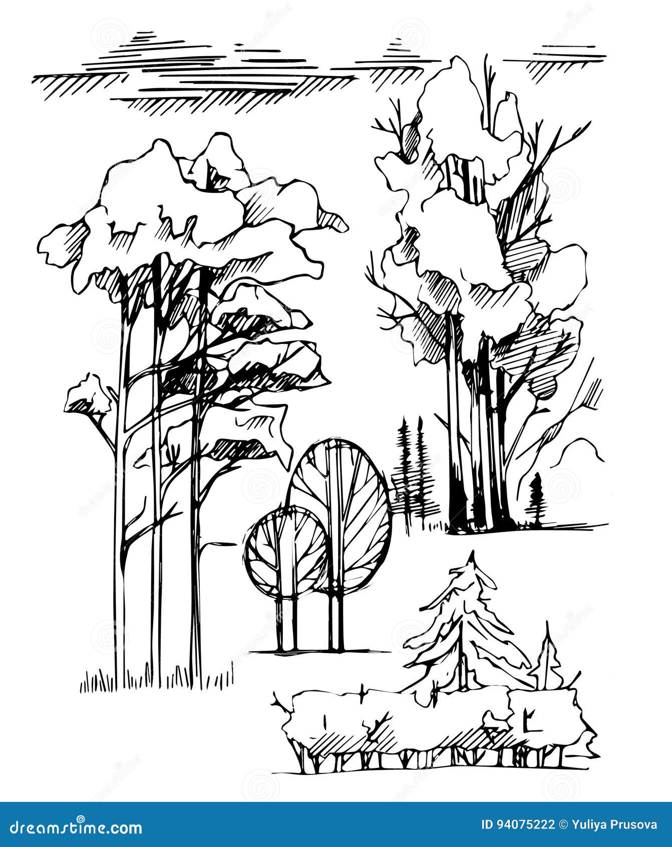 Graphic Line Illustration , The Entourage Of Trees On A White ...