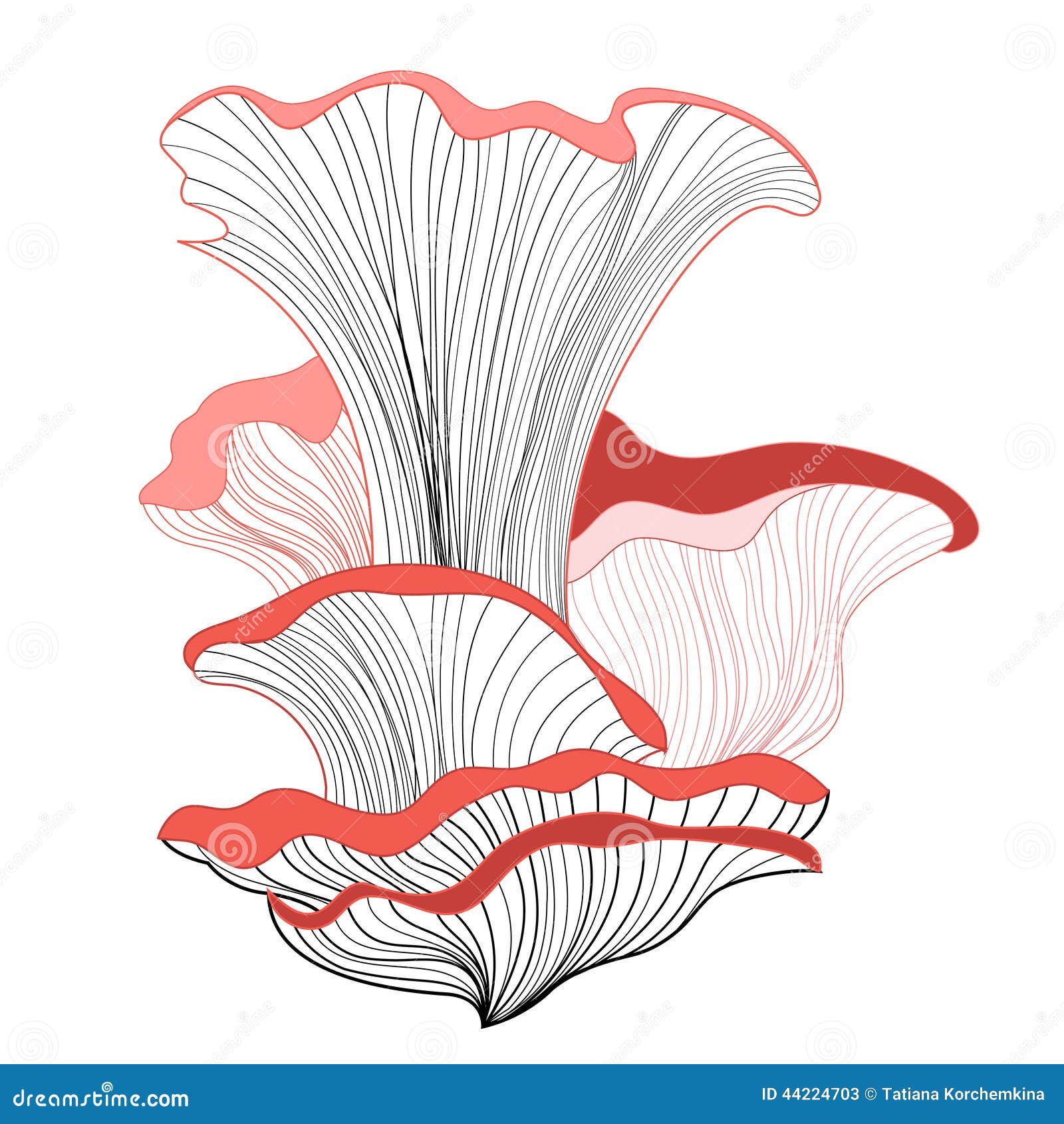 Graphic mushrooms stock vector. Illustration of nature - 44224703
