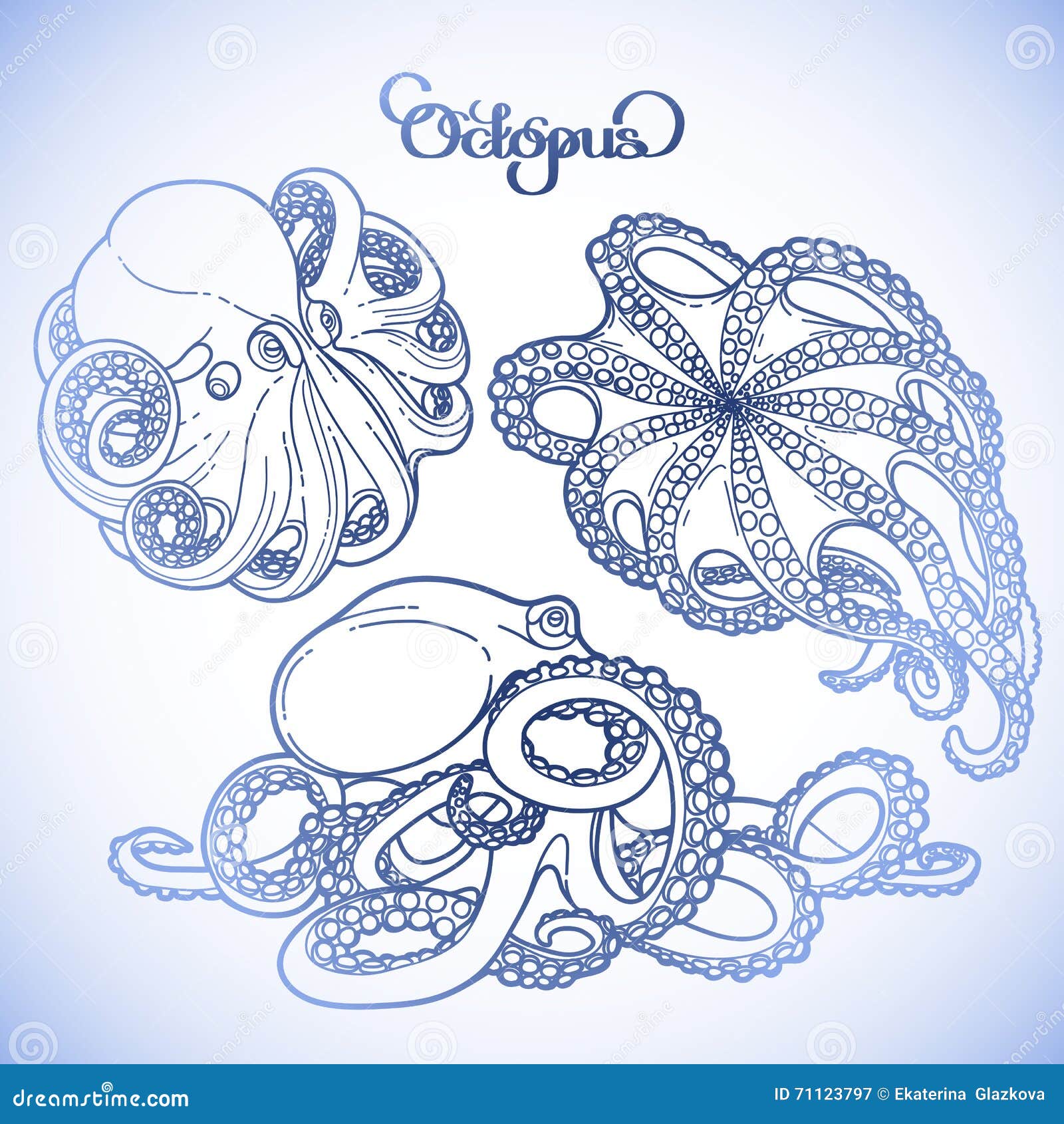 Graphic octopus collection stock vector. Illustration of food - 71123797