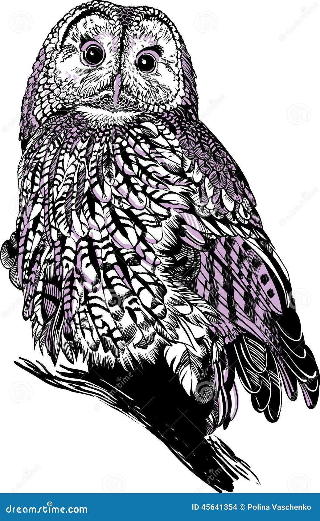 Graphic Owl stock illustration. Illustration of vector - 45641354