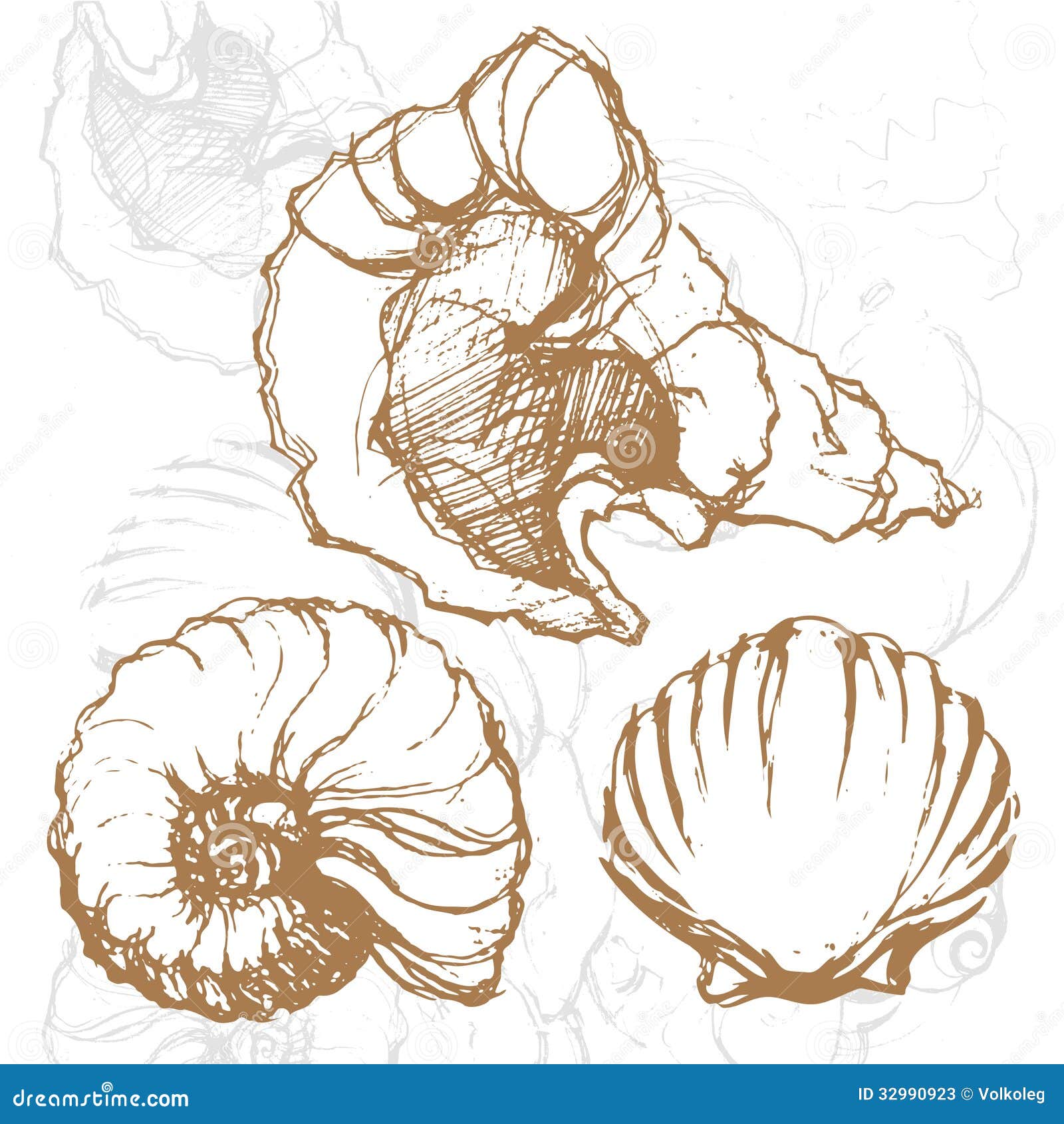 Graphic Pencil Vector Skethes with Shells Illustra Stock Vector ...