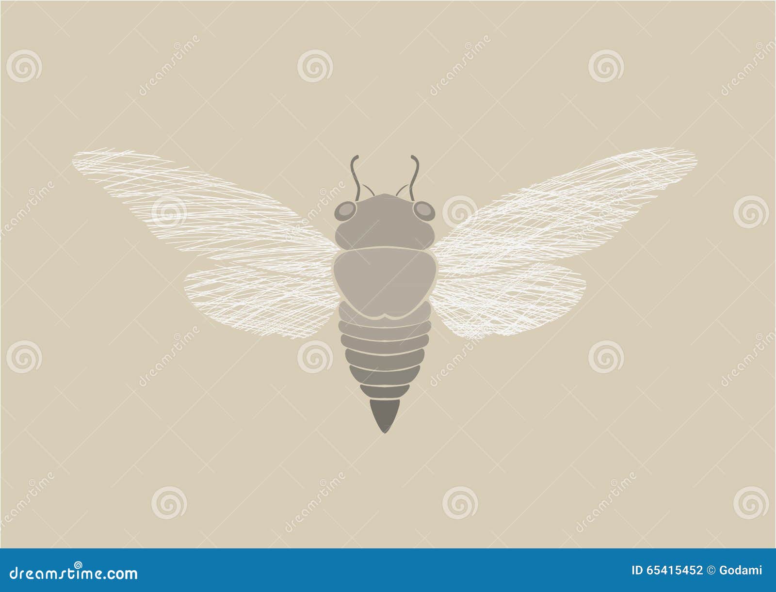 Graphic print of Cicada. stock vector. Illustration of packaging - 65415452
