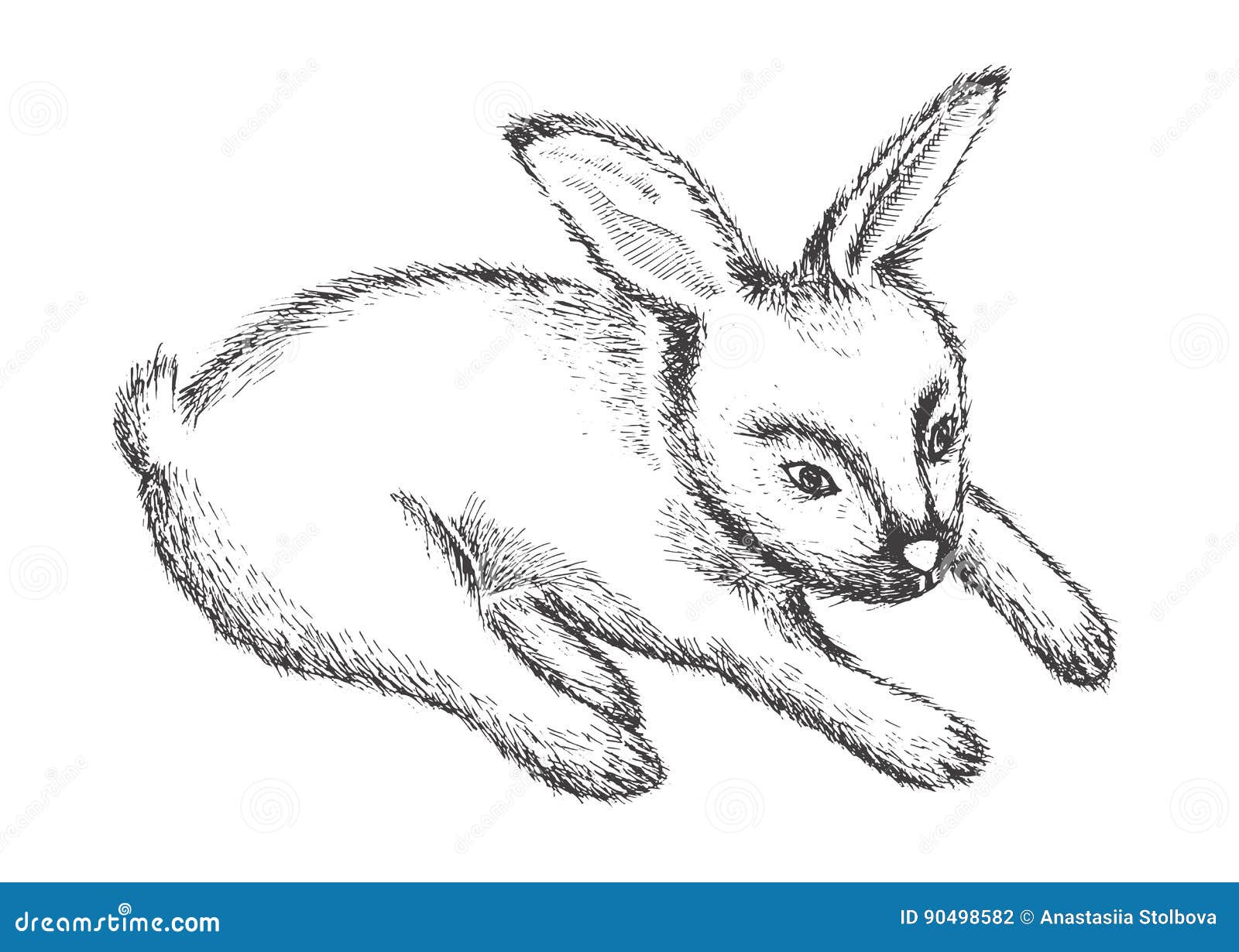Graphic Rabbit Vector Illustration Stock Vector - Illustration of hare ...