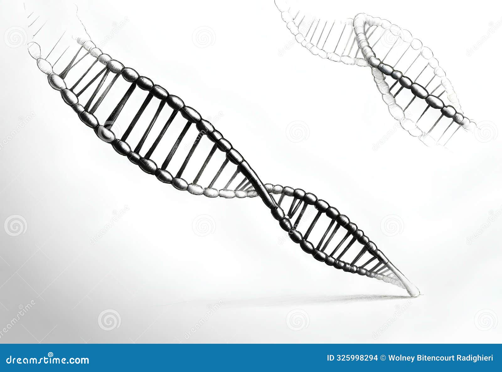 Illustration of the Dna Double Helix 77 Stock Illustration ...