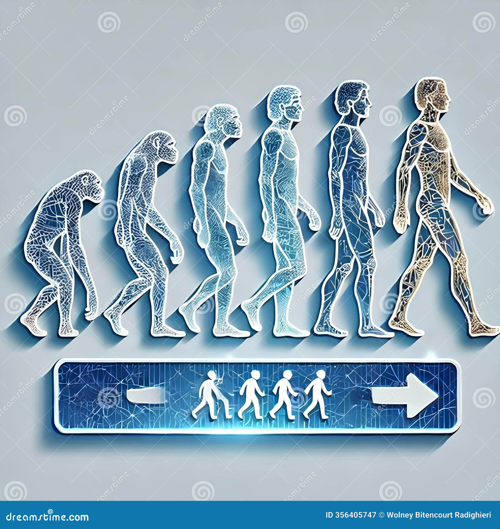 Illustration of the Evolution of Humanity Stock Illustration ...