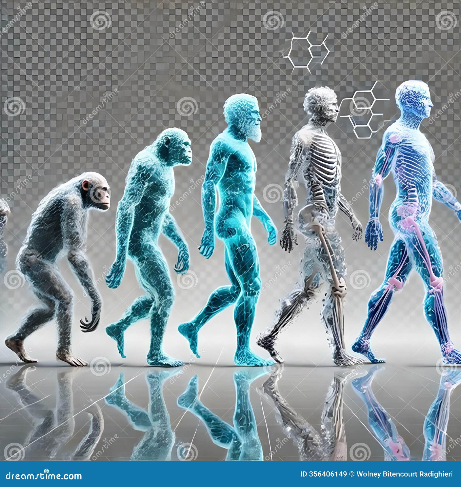 Illustration of the Evolution of Humanity Stock Illustration ...