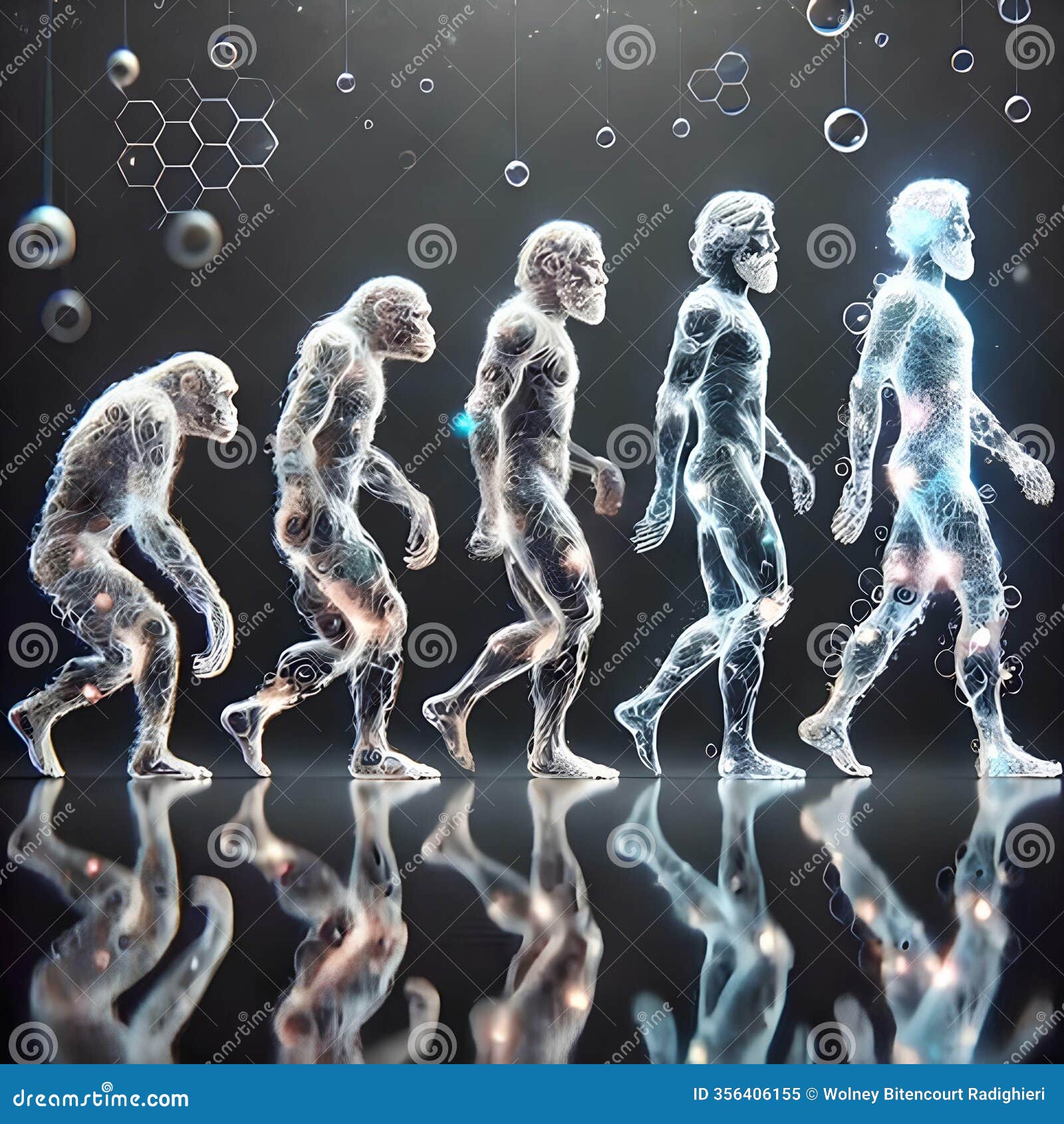 Illustration of the Evolution of Humanity Stock Illustration ...