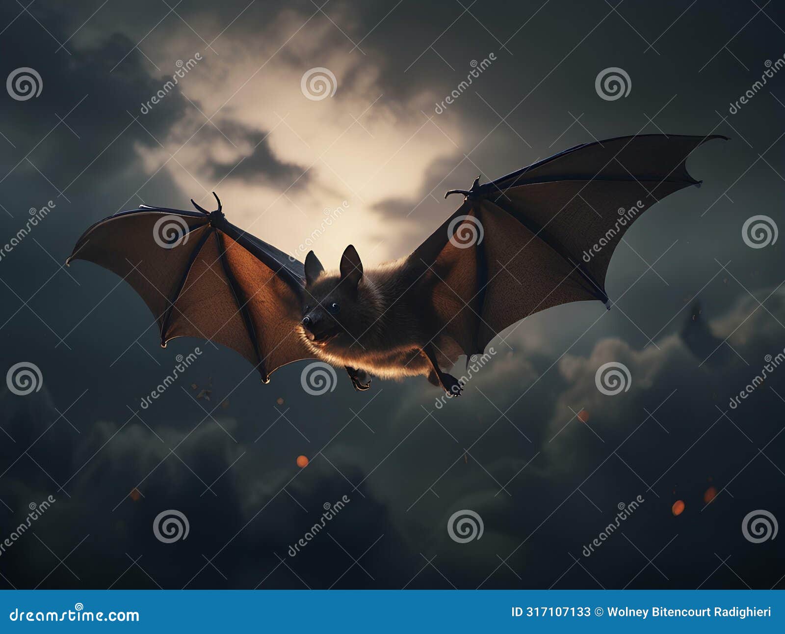 Image of a Bat S Night Flight 1 Stock Illustration - Illustration of ...