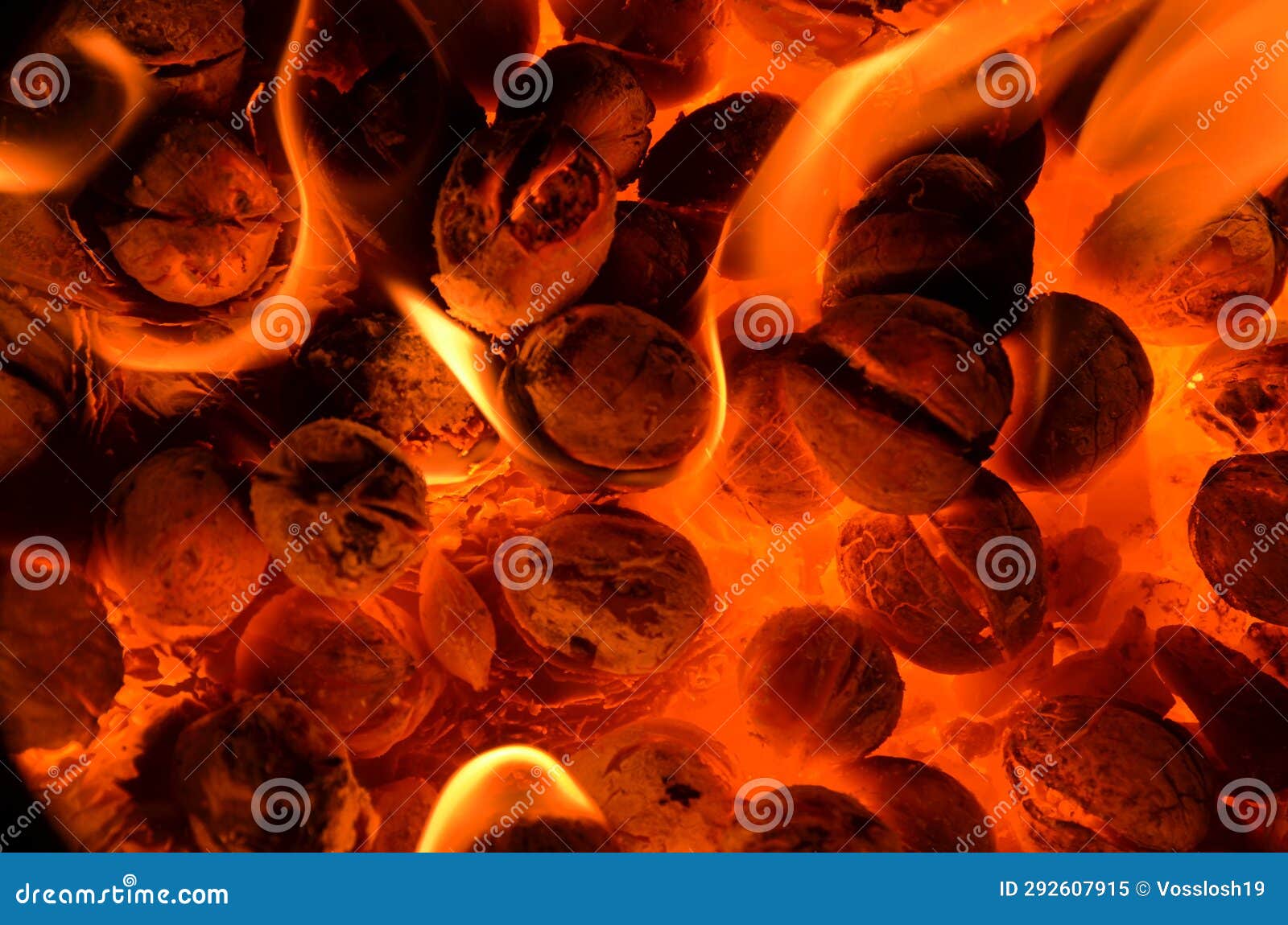 The Graphic Resource Consists of Burning Nuts. Stock Image - Image of ...