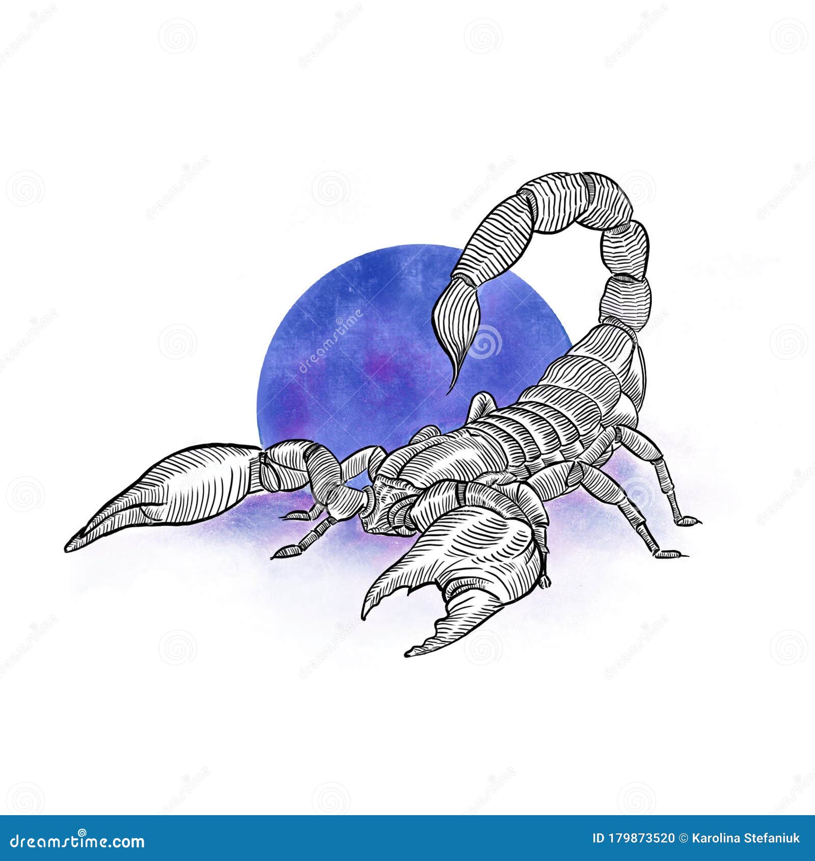 Graphic Scorpio with Moon on White Background Stock Illustration ...