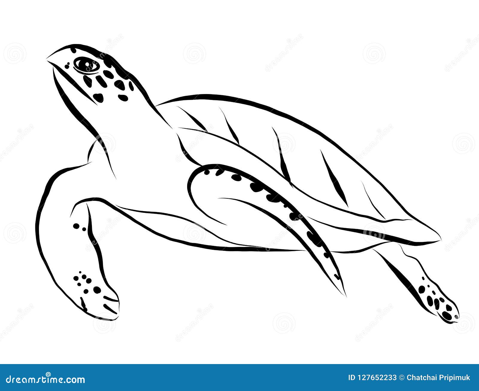Turtle Flat Design Clip Art Logo Cartoon Vector | CartoonDealer.com ...