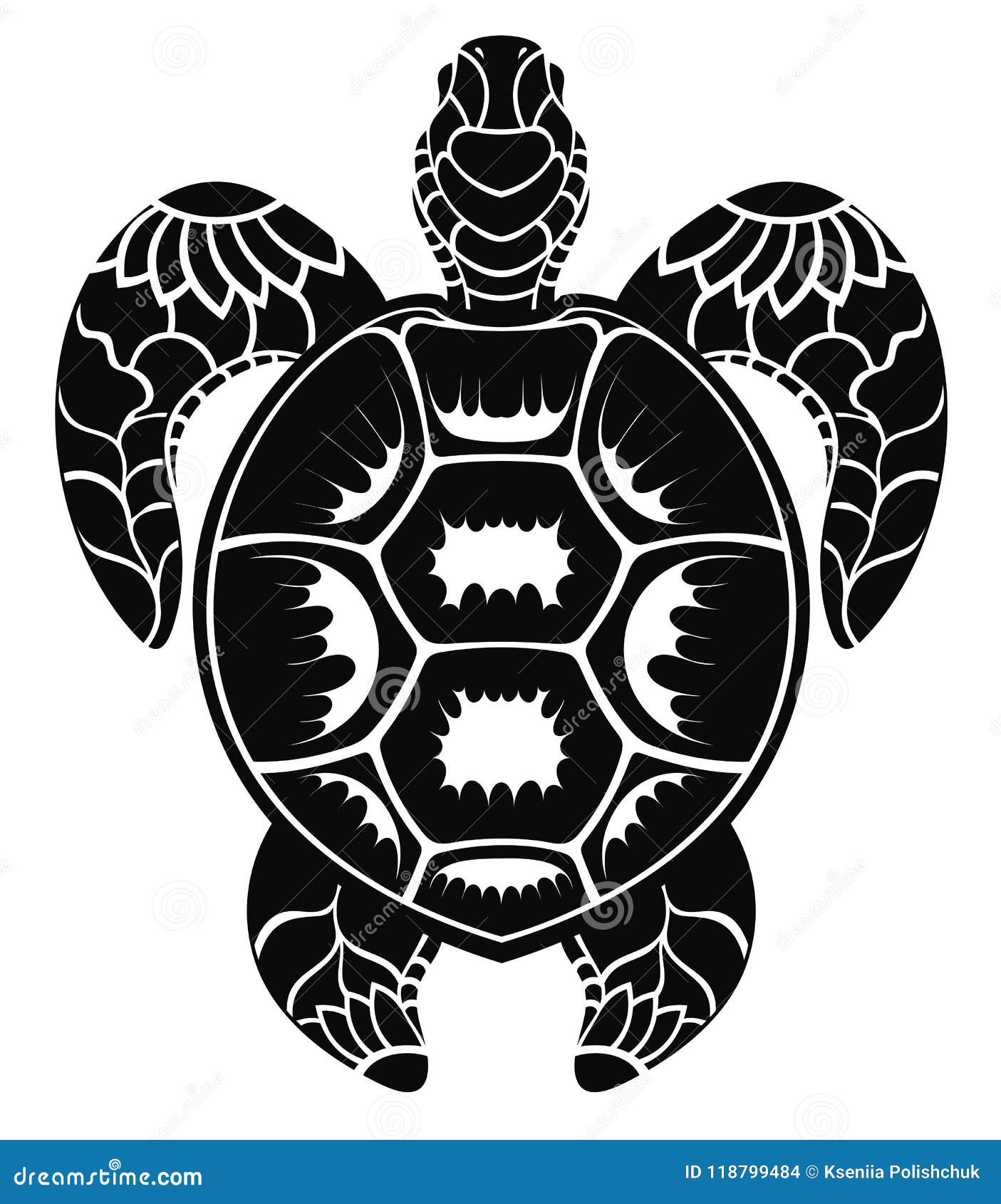 Graphic Sea Turtle Vector Design Stock Vector - Illustration of life ...