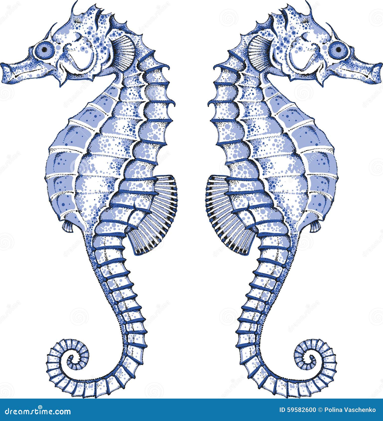 Graphic Seahorse stock vector. Image of navy, flourish - 59582600