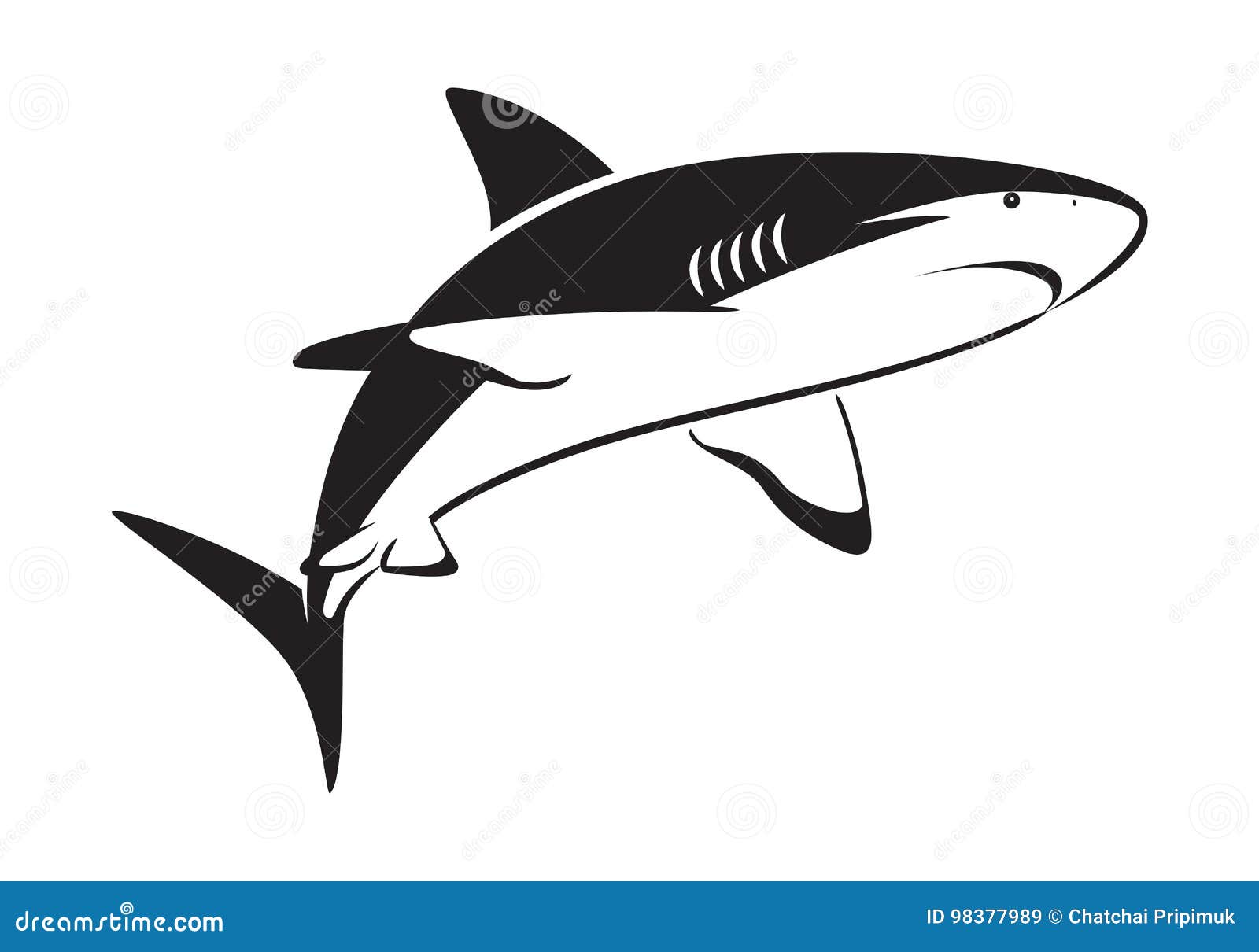 Graphic shark stock vector. Illustration of fierce, black - 98377989