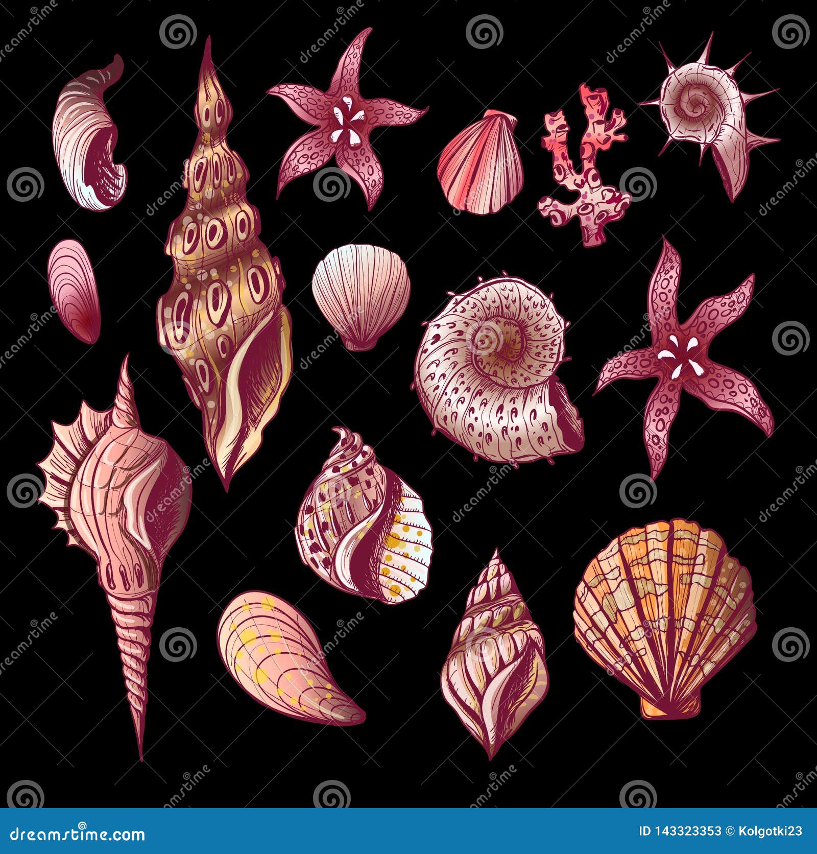 Graphic Shell in Vintage Style. Vector. Stock Vector - Illustration of ...