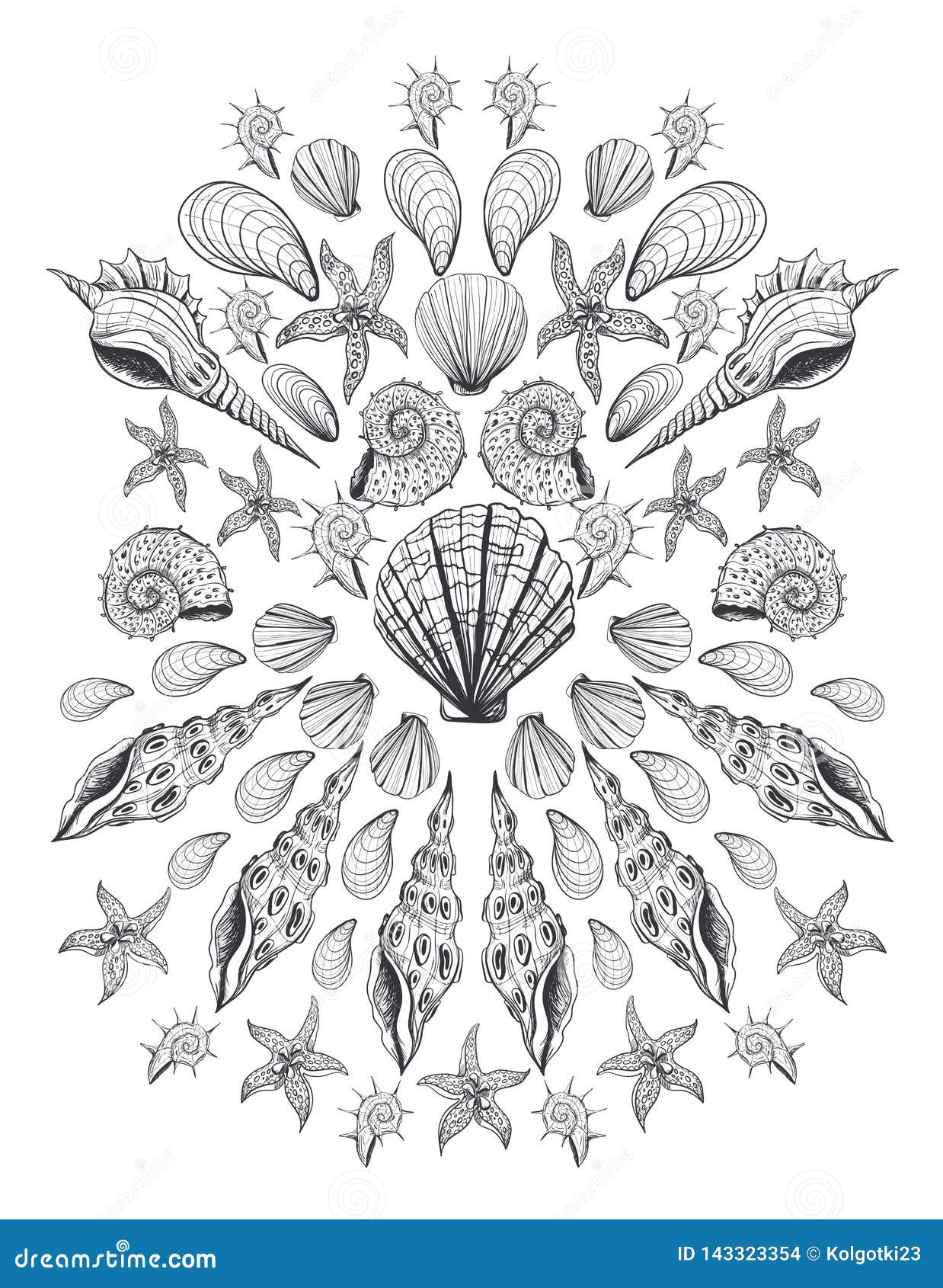 Graphic Shell in Vintage Style. Vector. Stock Vector - Illustration of ...