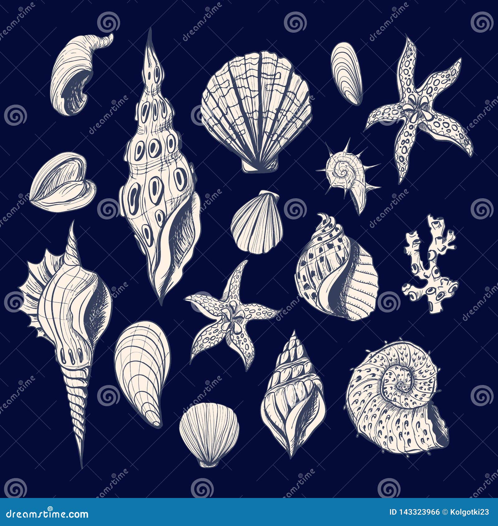 Graphic Shell in Vintage Style. Vector. Stock Vector - Illustration of ...