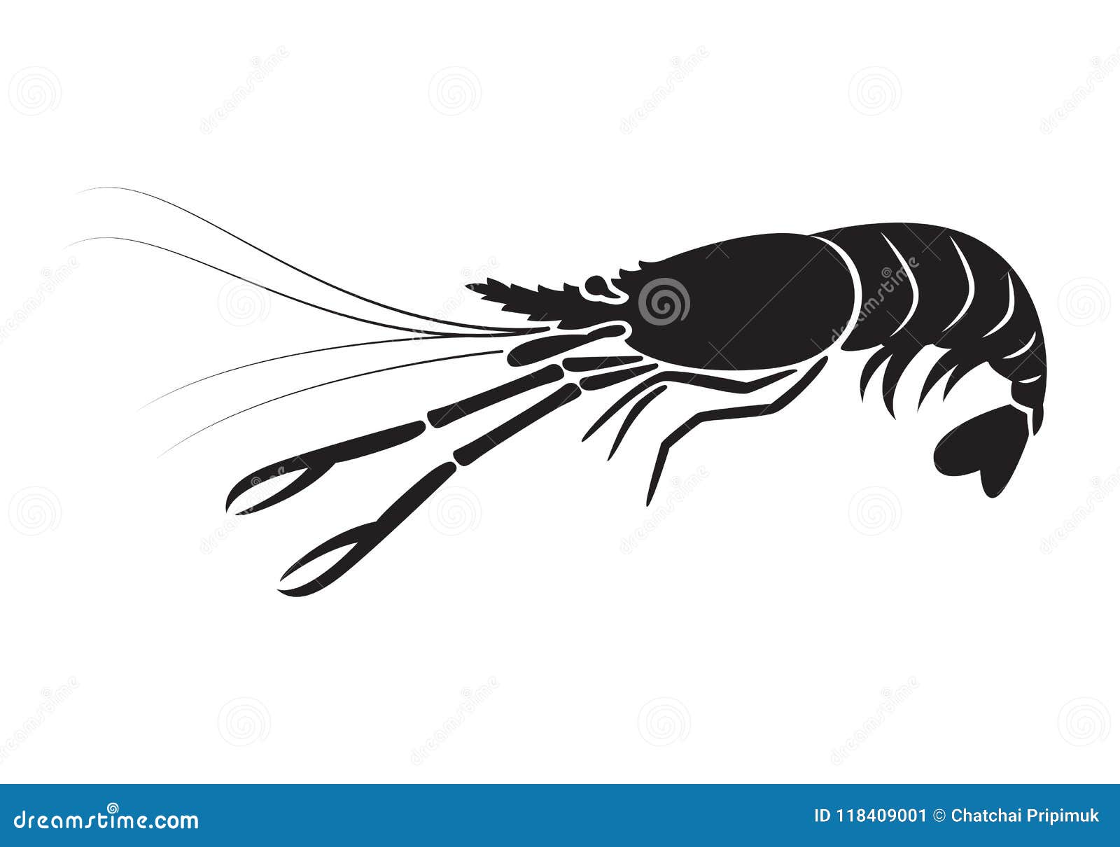 Shrimp Vector Png