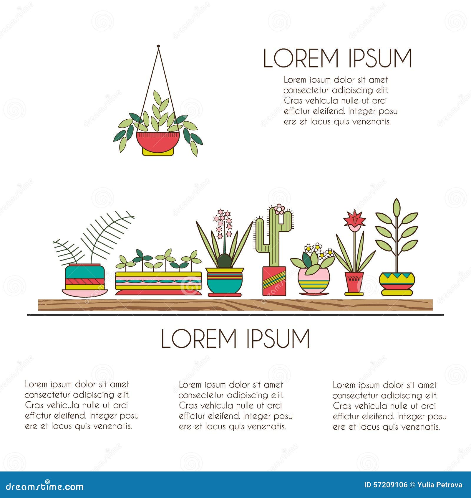 Graphic Template with House Plants. Stock Vector - Illustration of ...