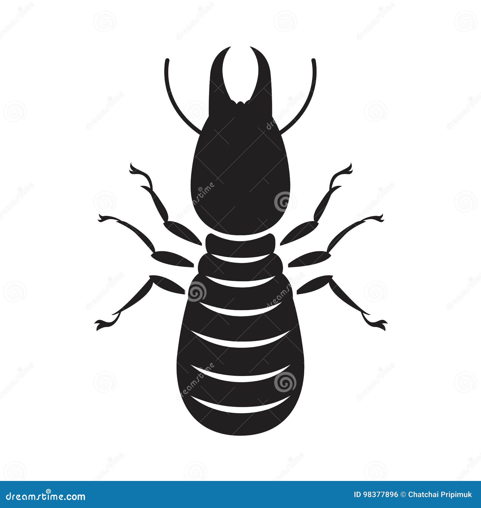 Graphic termite, vector stock vector. Illustration of flat - 98377896