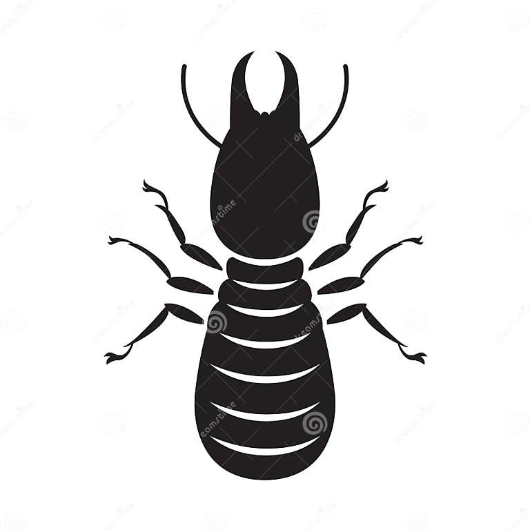 Graphic termite, vector stock vector. Illustration of flat - 98377896