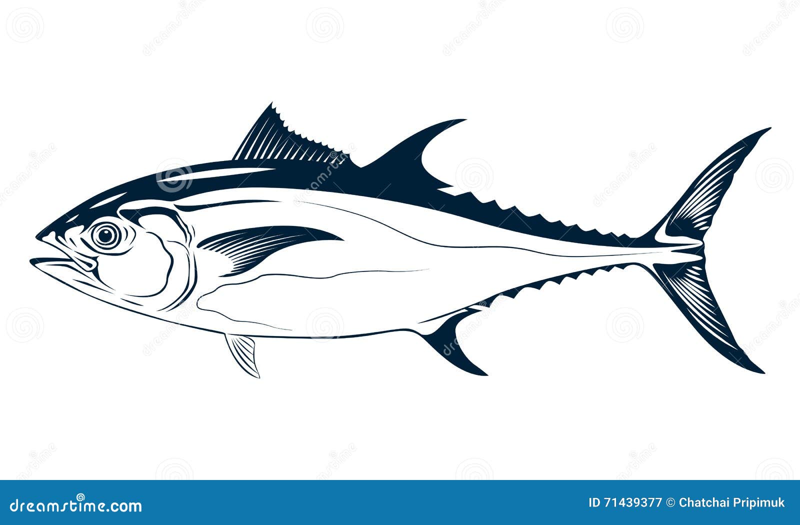Graphic tuna, vector stock vector. Illustration of drawing - 71439377