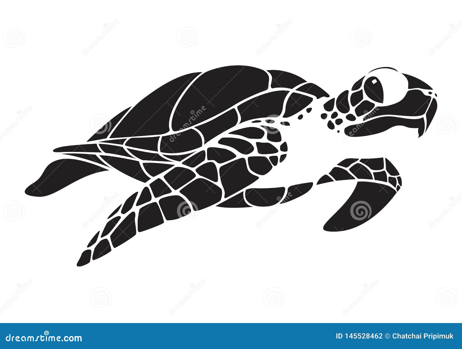 Graphic Sea Turtle, Vector | CartoonDealer.com #71490242
