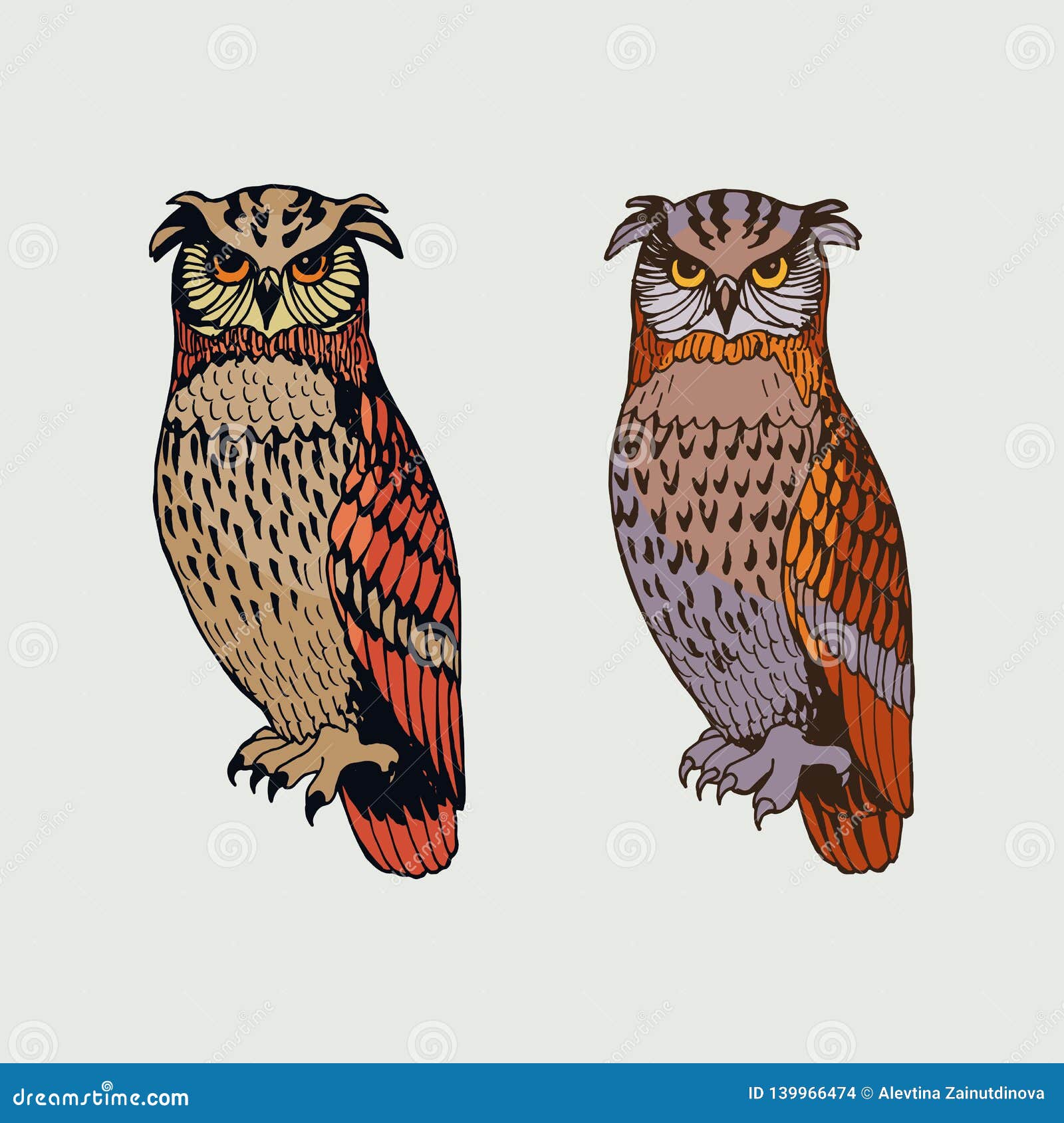 Graphic Vector Owls Set Isolated Stock Vector - Illustration of eyes ...