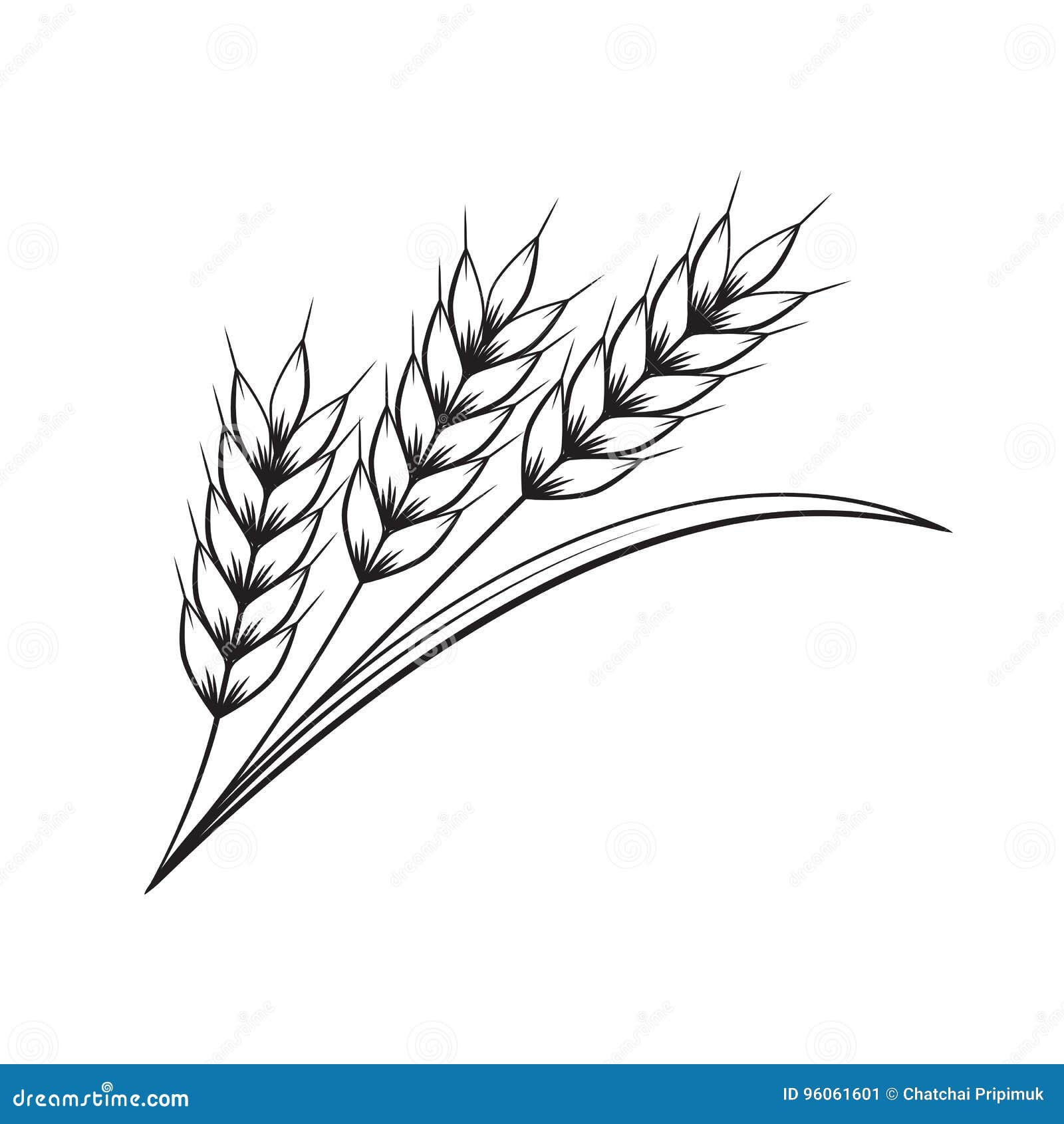 Graphic wheat, vector stock vector. Illustration of hand - 96061601