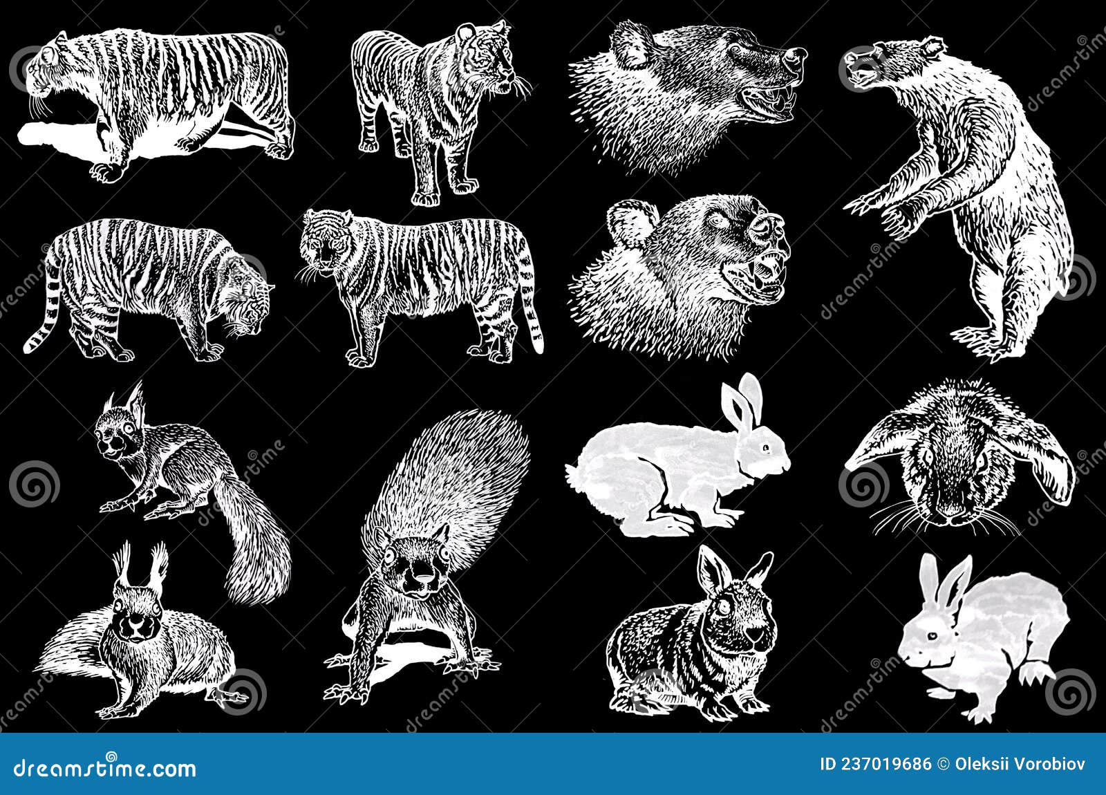 Graphical Big Collection of Animals on Black,vector Illustration Stock ...