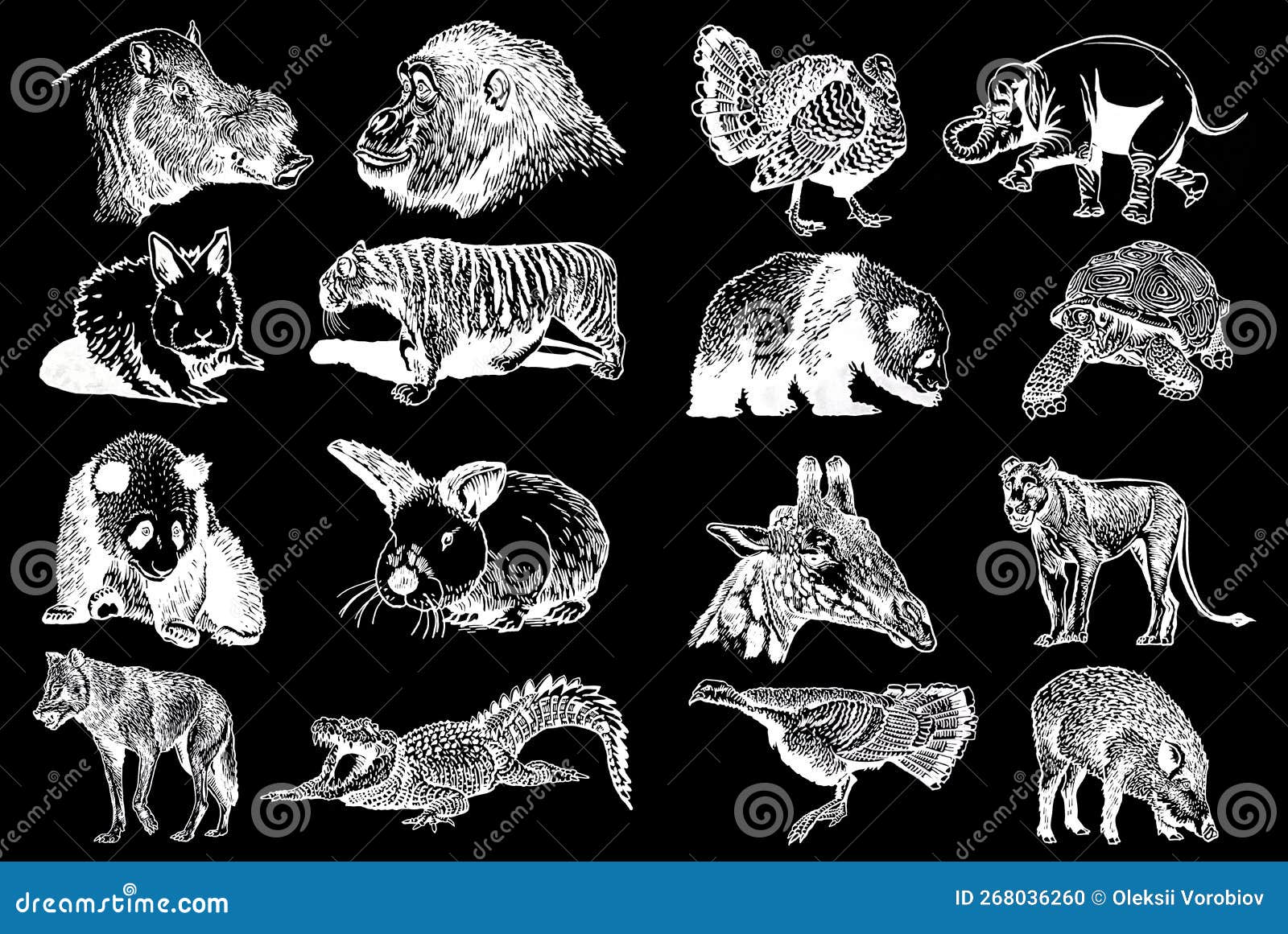 Graphical Big Set of Animals Isolated on Black Background,vector ...