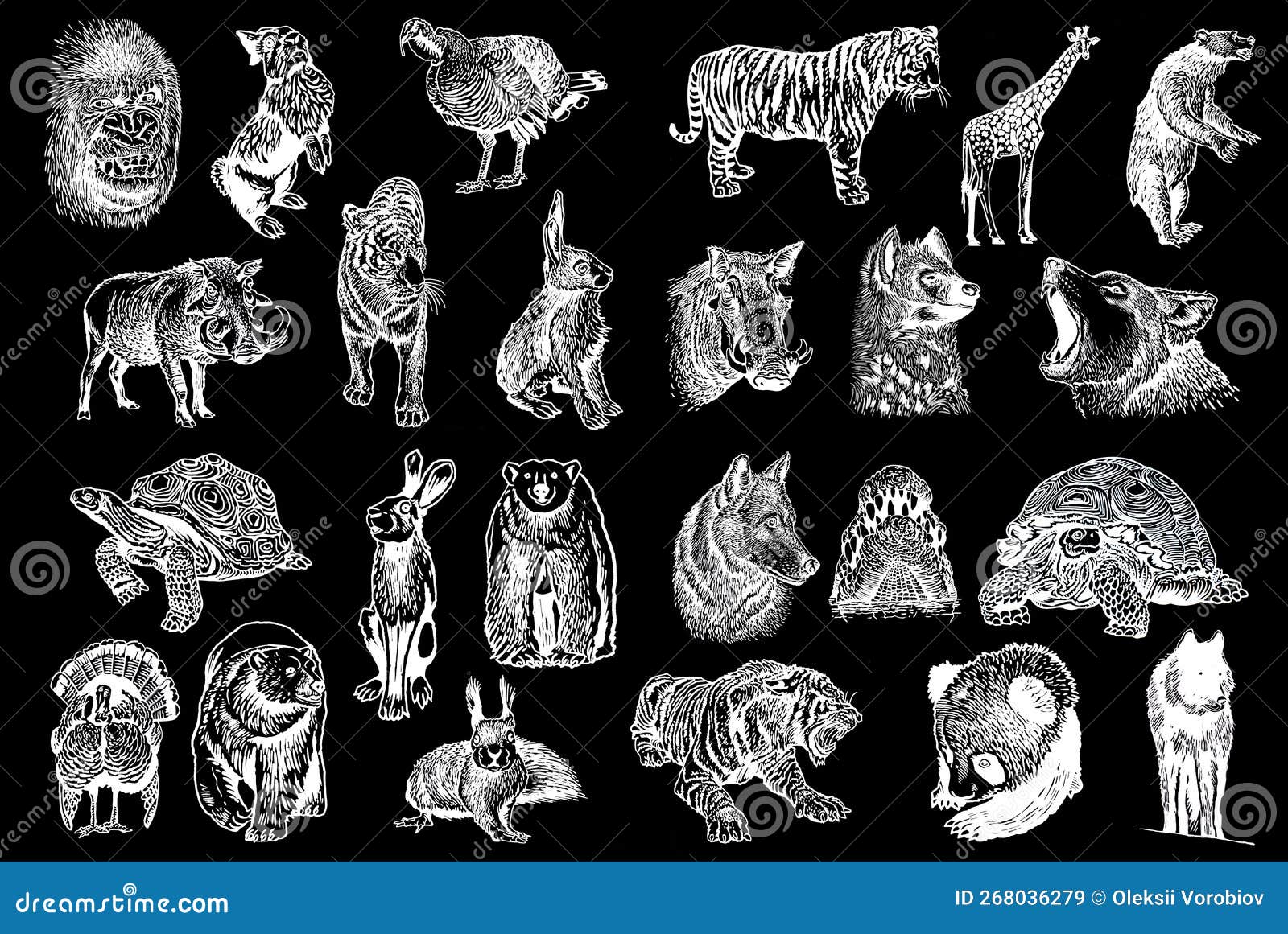 Graphical Big Set of Animals Isolated on Black Background,vector ...