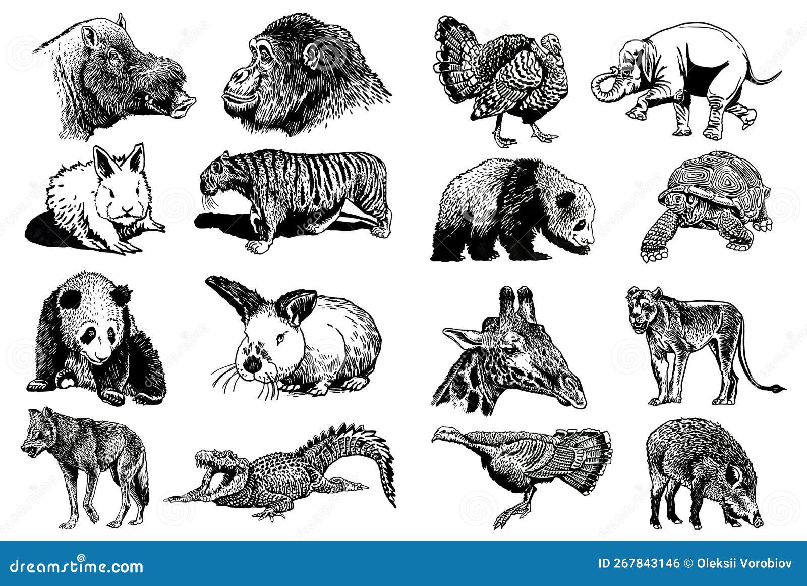 Graphical Big Set of Animals Isolated on White Background,vector ...