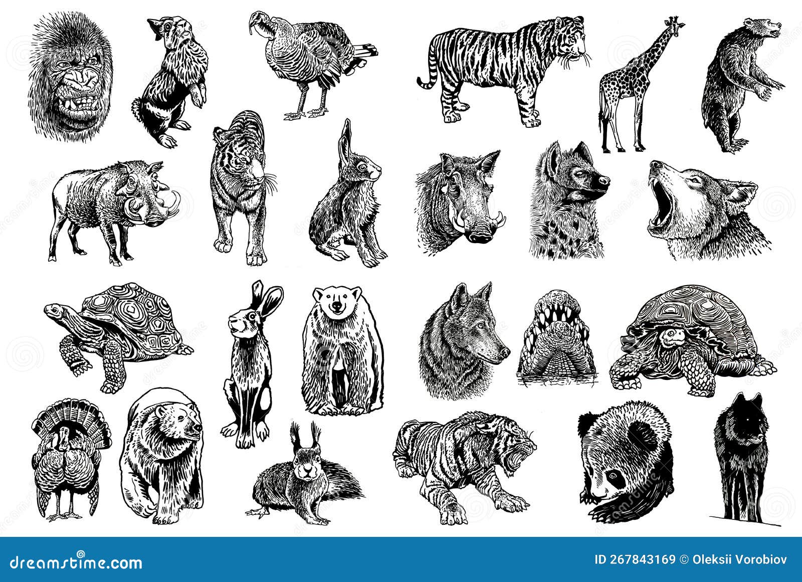 Graphical Big Set Of Animals Isolated On White Background,vector ...