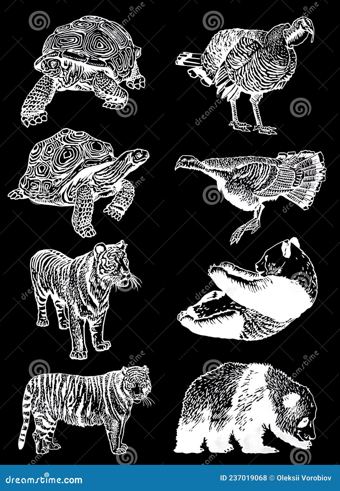 Graphical Big Set of Animals, Panda,turkey, Tortoise and Tiger on Black ...