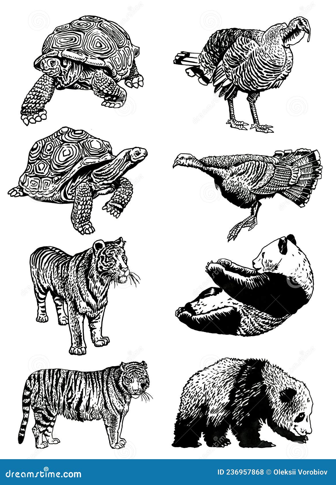 Graphical Big Set of Animals on White,vector Illustration Stock Vector ...