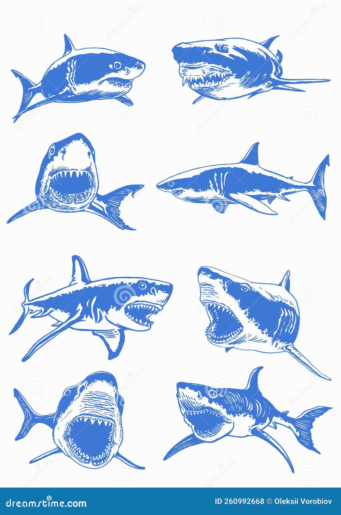 Graphical Big Set Of Blue Sharks And Jaws Isolated On White Background ...