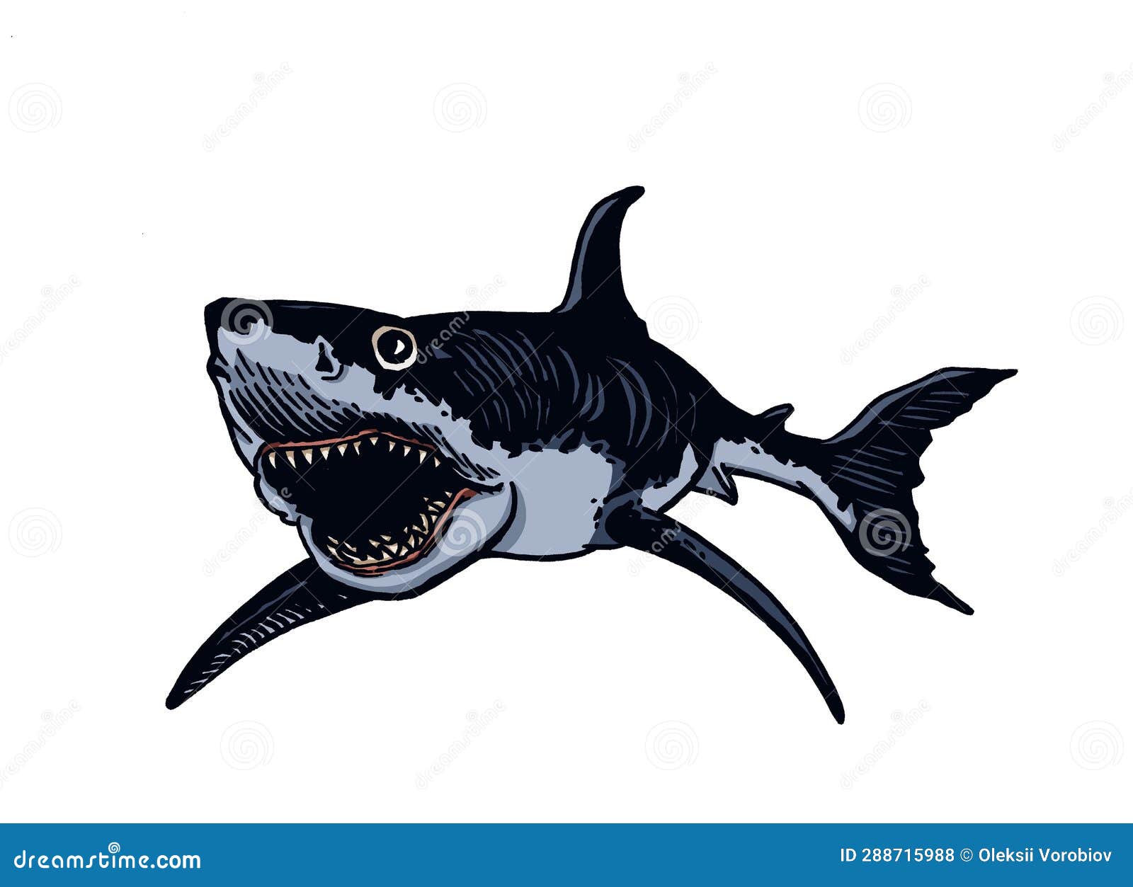 Graphical Blue Shark Isolated on White Background, Vector Color ...